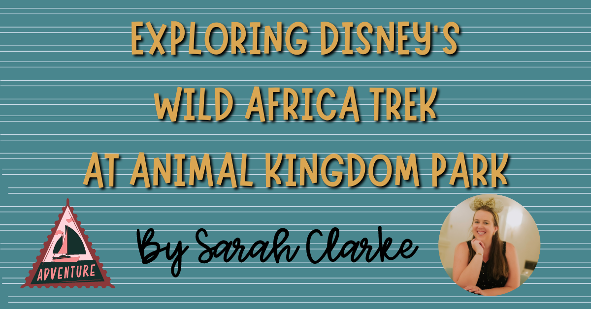 Exploring Disney’s Wild Africa Trek at Animal Kingdom Park – Never Look ...