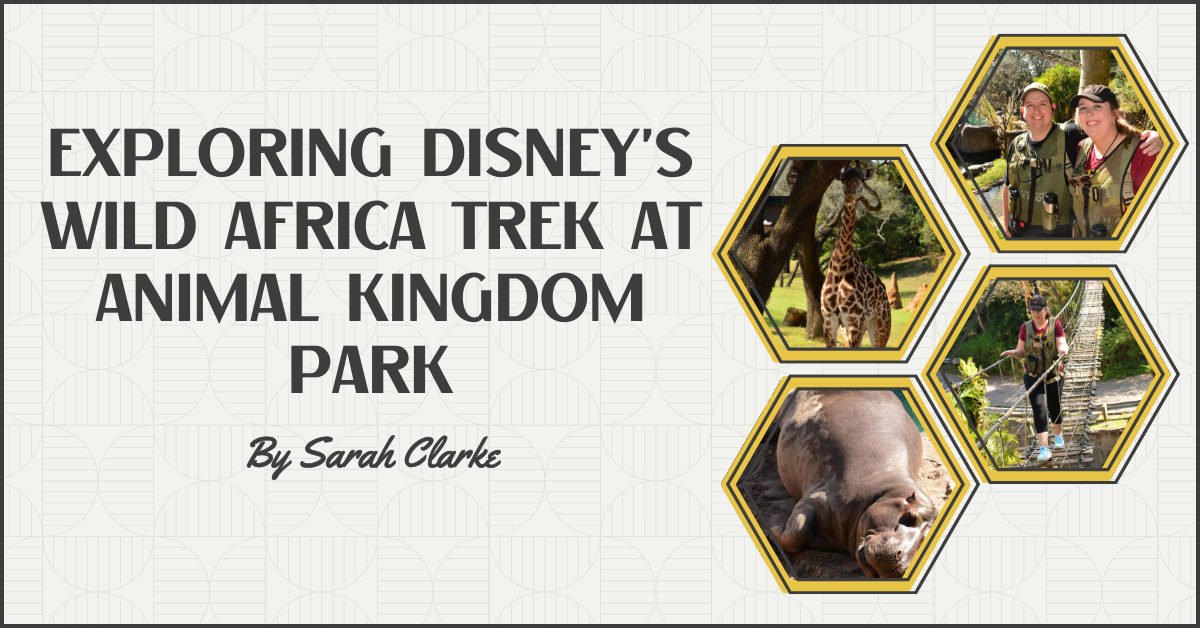 Exploring Disney’s Wild Africa Trek at Animal Kingdom Park – Never Look ...